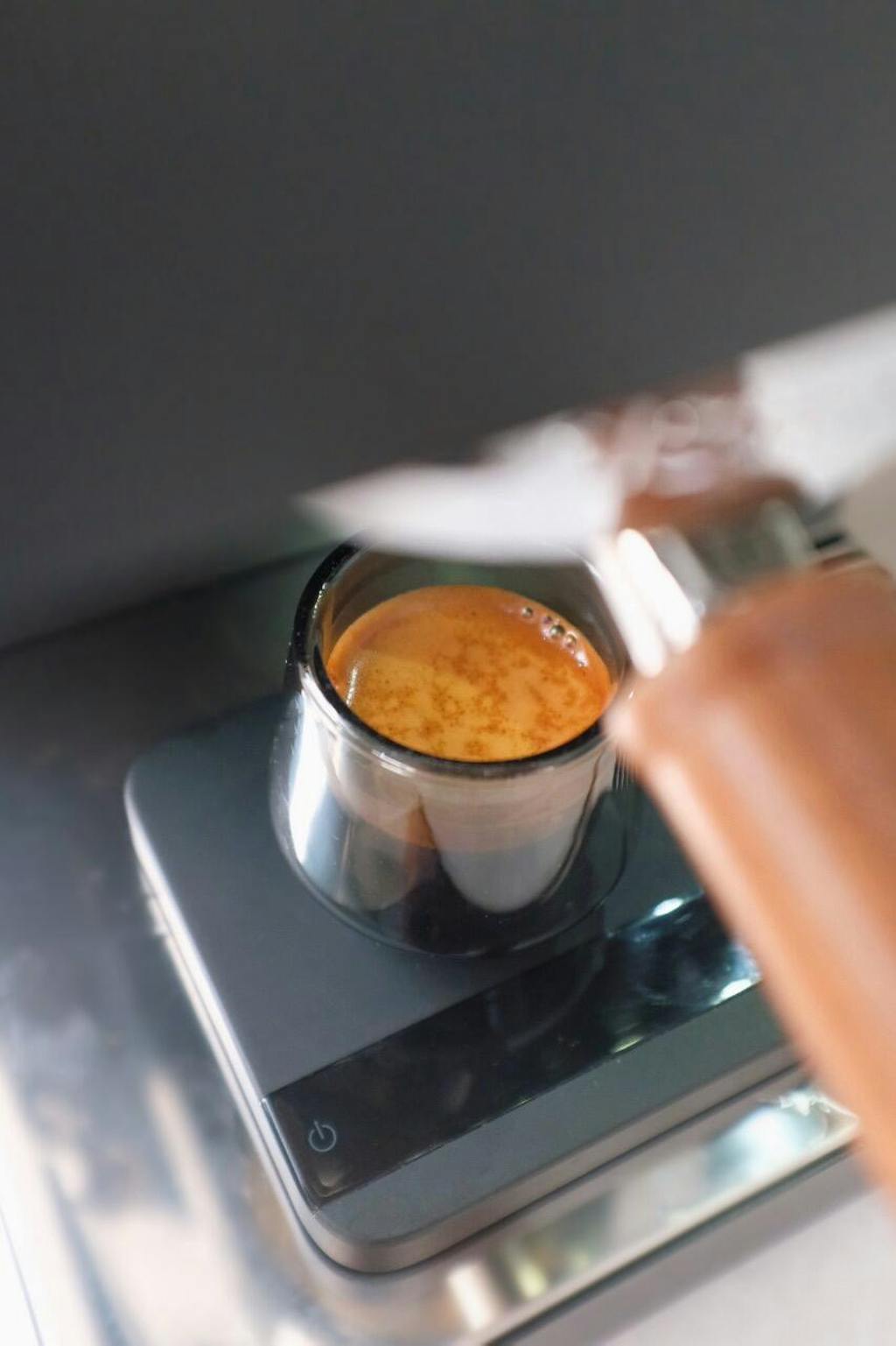 Steel DUO PID, Programmable Espresso Machine w/ Volumetric Controller ...