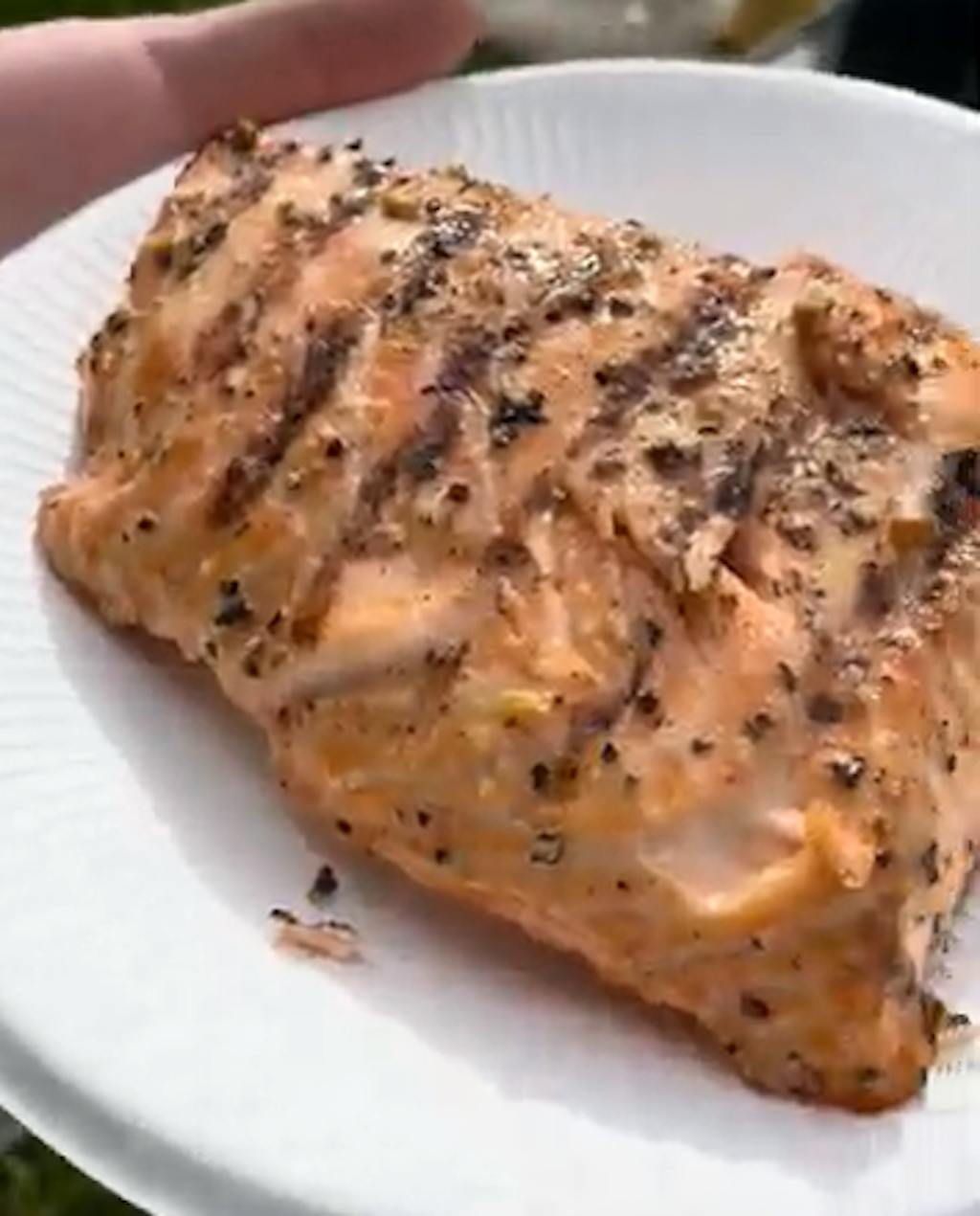 ASMOKE Essential Portable Wood Pellet Grill and Smart Smoker with Built ...