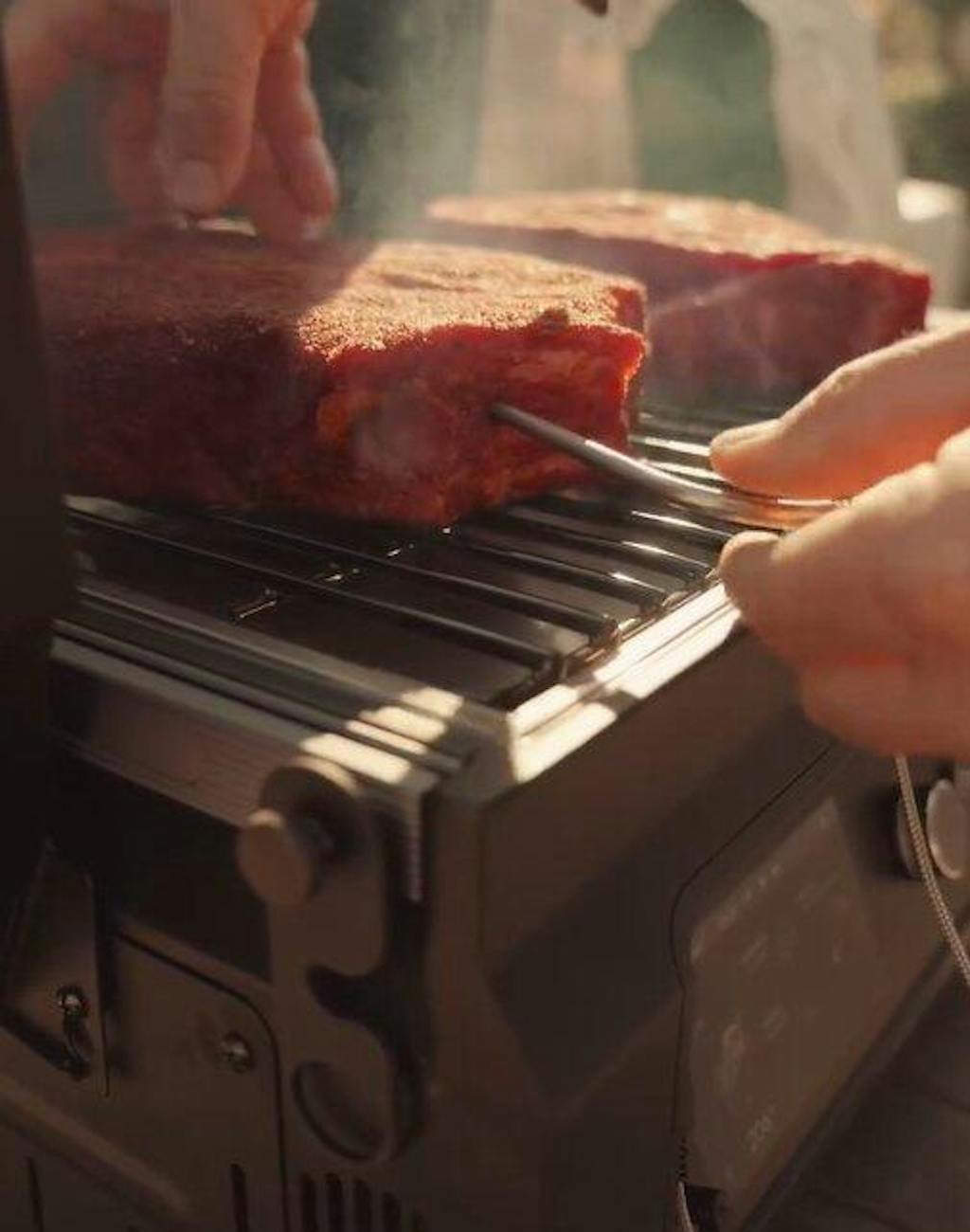 ASMOKE Essential Portable Wood Pellet Grill and Smart Smoker with Built ...