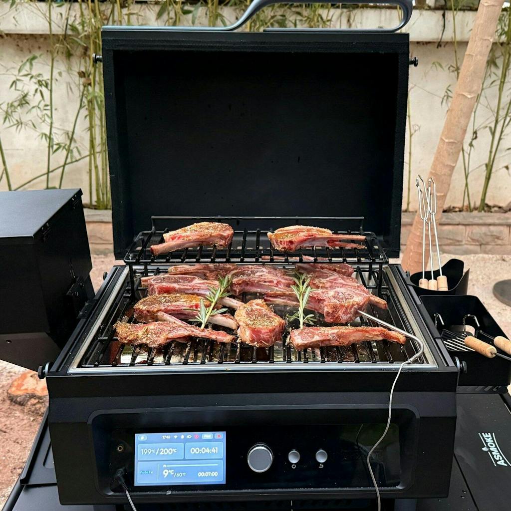 ASMOKE Essential Portable Wood Pellet Grill and Smart Smoker with Built ...