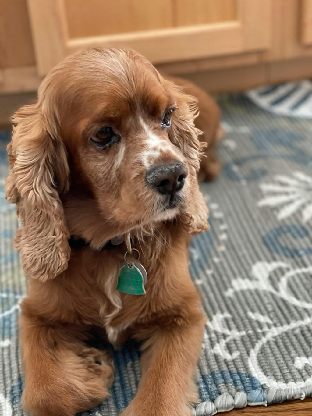 Astarin Wind Chimes - Hand-tuned wind chimes since 1929