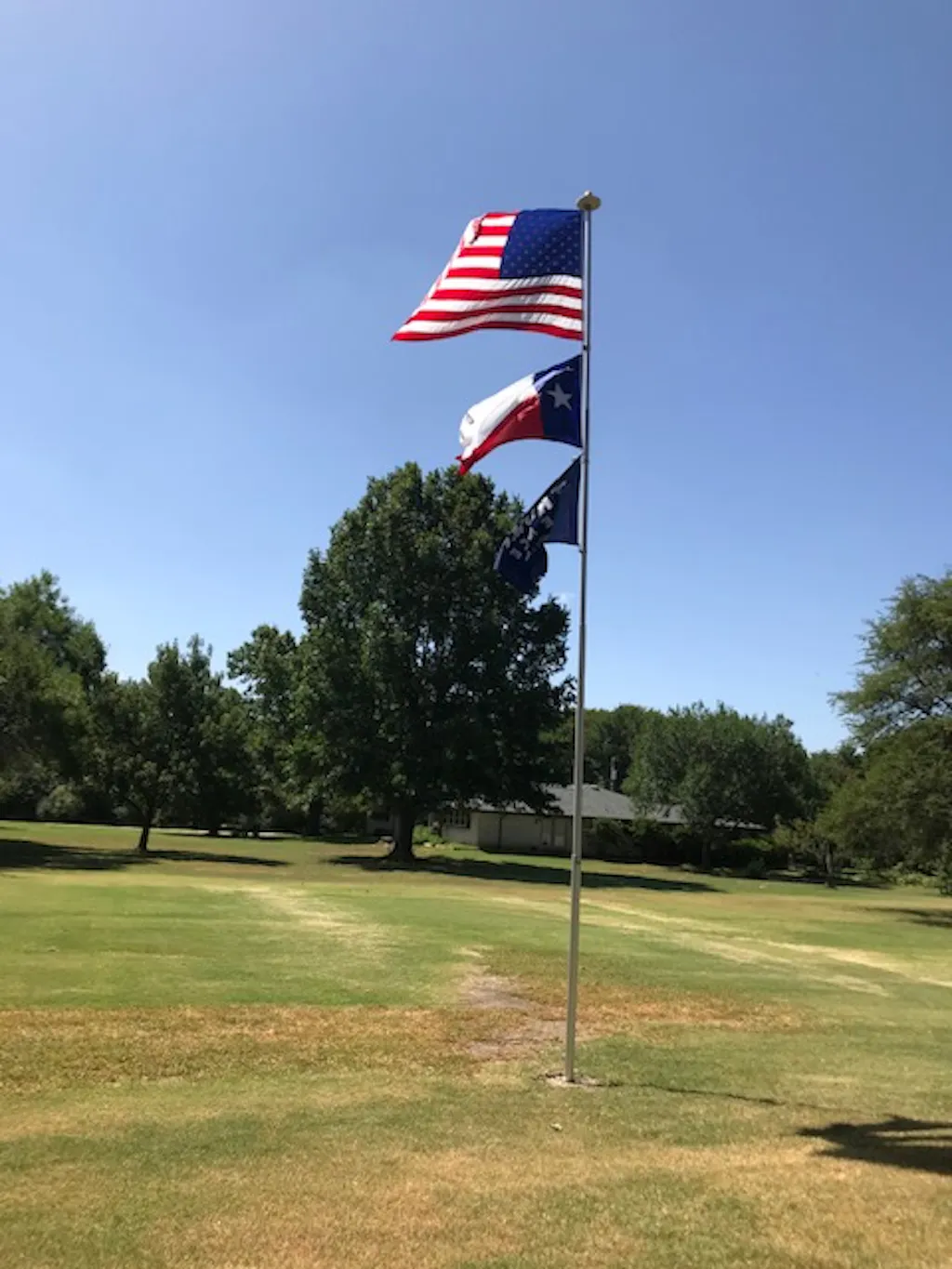 Texas State Flag