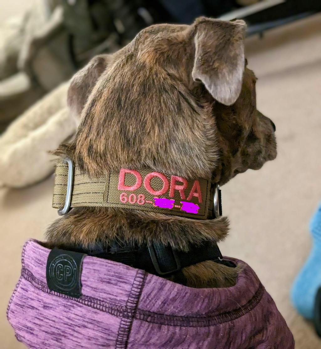 Lifetime Pro Collar - Lifetime Warranty Tactical Collar for Working Dogs