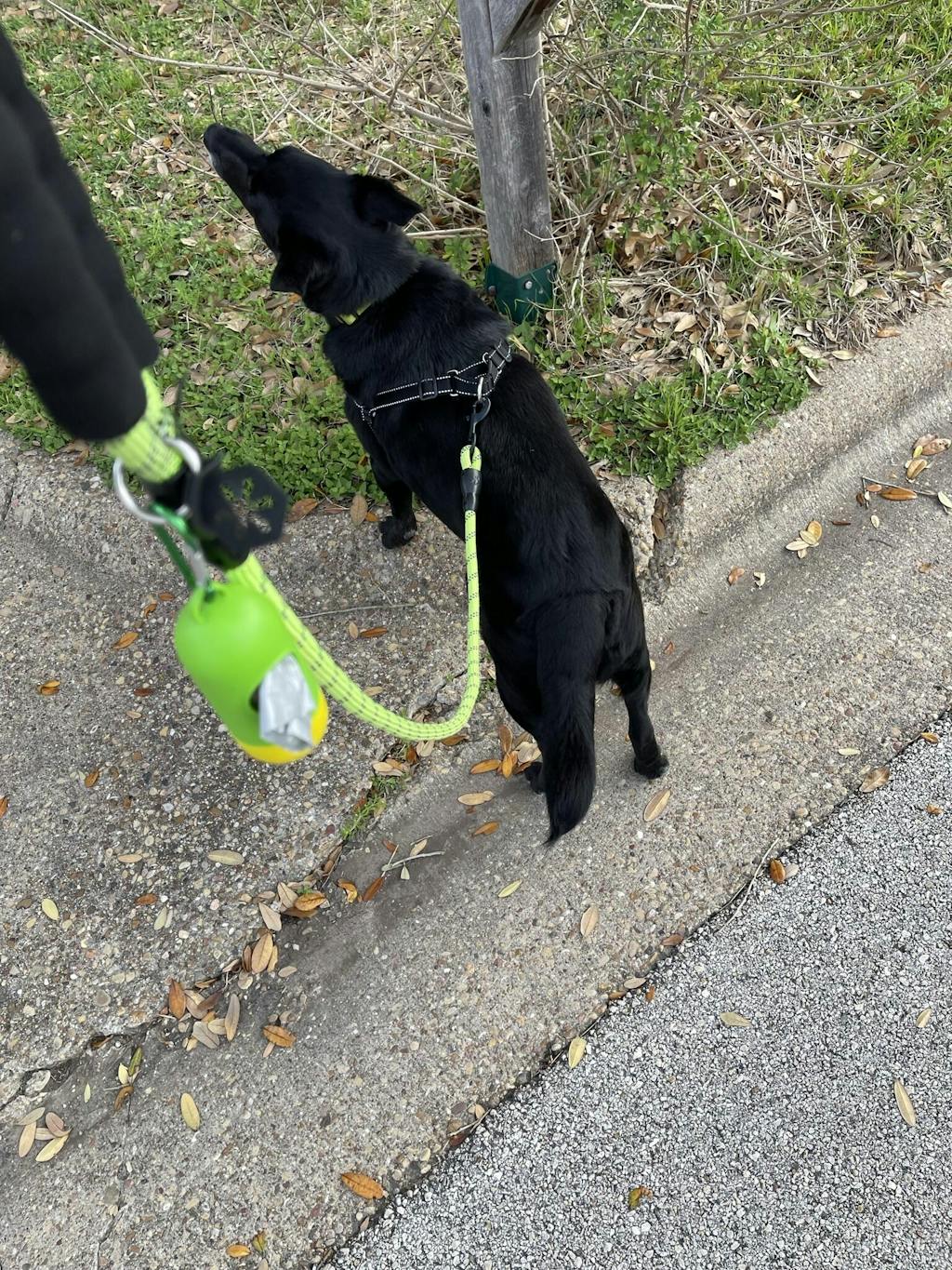 Lifetime Loop - Ultralight Poop Bag Holder | Atlas Pet Company