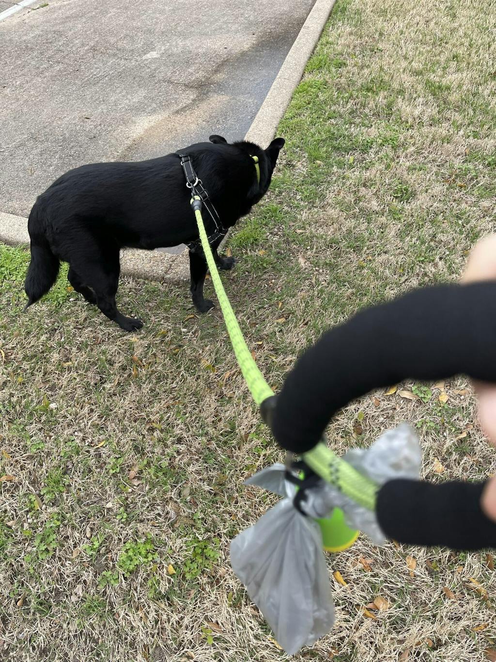 Lifetime Loop - Ultralight Poop Bag Holder | Atlas Pet Company