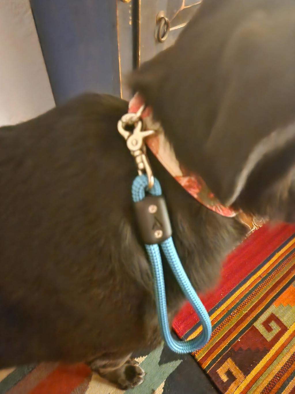 Lifetime Handle - Lifetime Warranty Rope Handle Made in USA – Atlas Pet ...