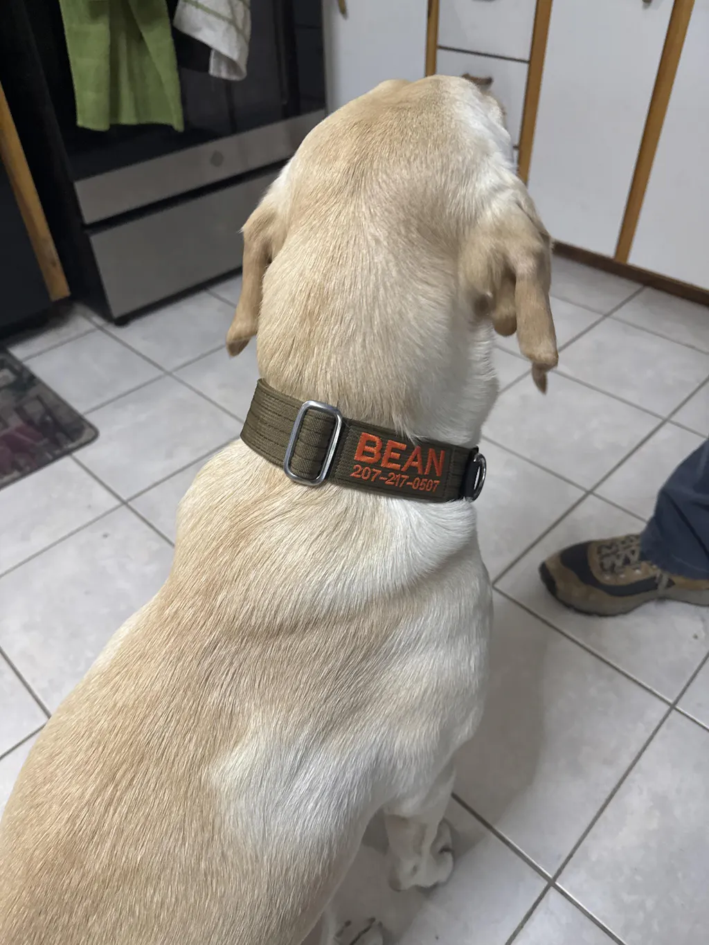 Lifetime Pro Collar - Lifetime Warranty Tactical Collar Made in USA ...