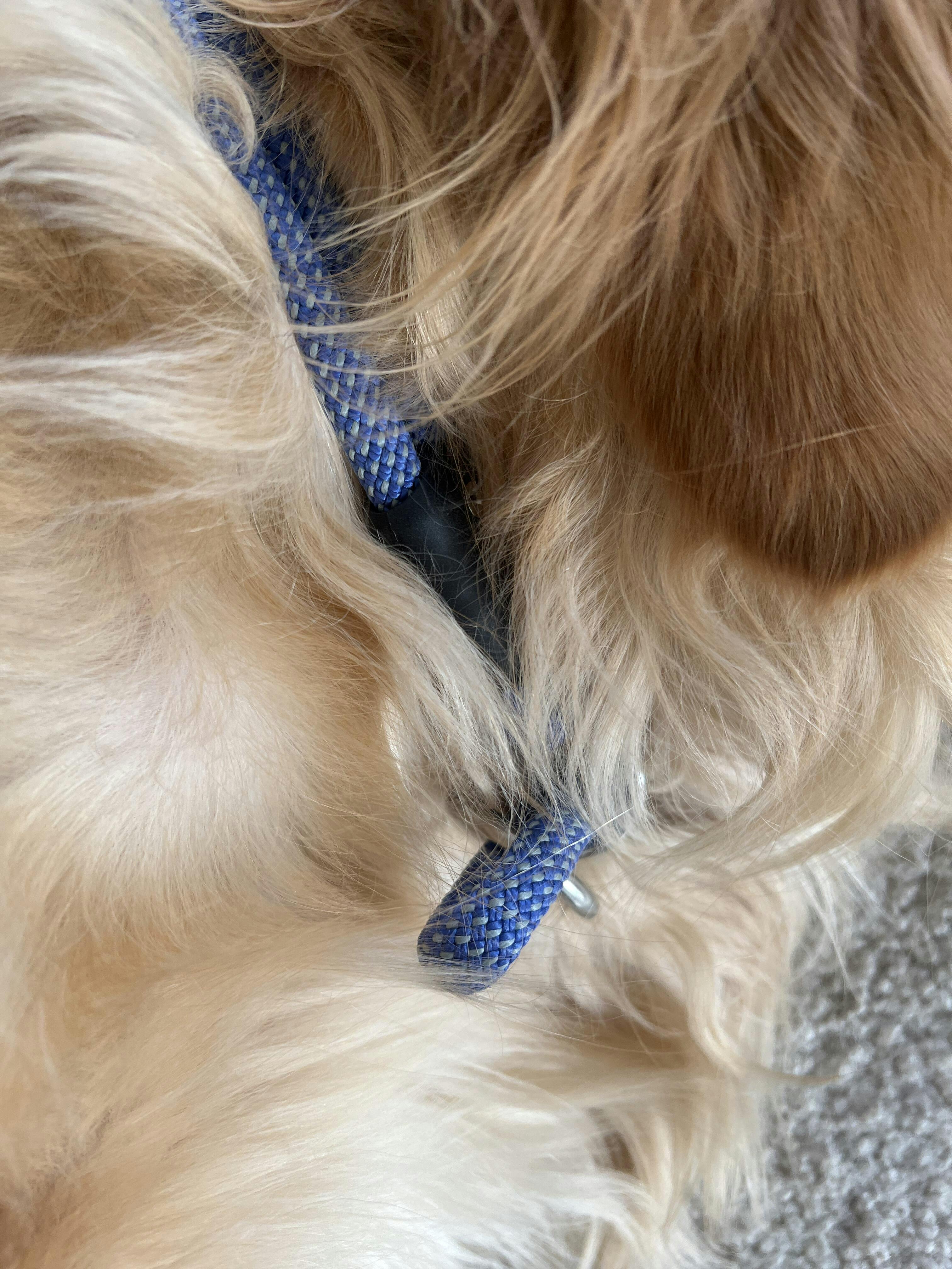 Lifetime Slip Collar™ - Lifetime Warranty Climbing Rope Slip Collar ...