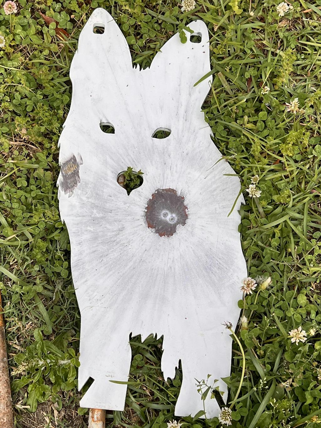 Full-Size Front Facing Coyote Target - Atlas Target Works