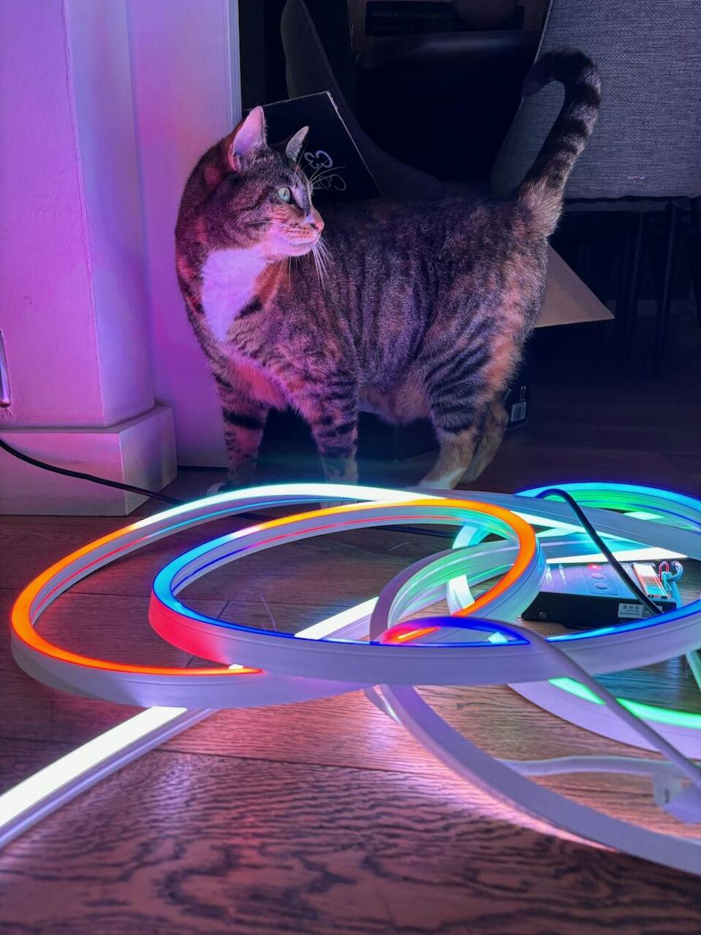 RGB LED Strip DC 24V 10m One Length 5050 IP65 Waterproof 60LED/m | ATOM LED