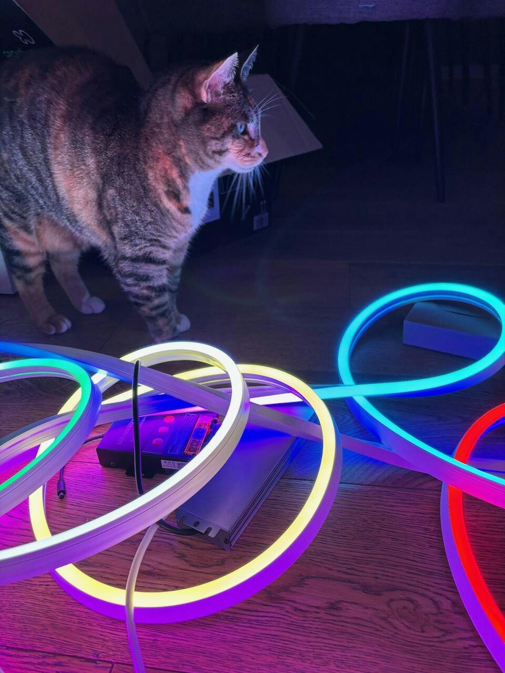 LED Strip Silicone Neon Flex Profile Cover Body Flexible Bendable ...