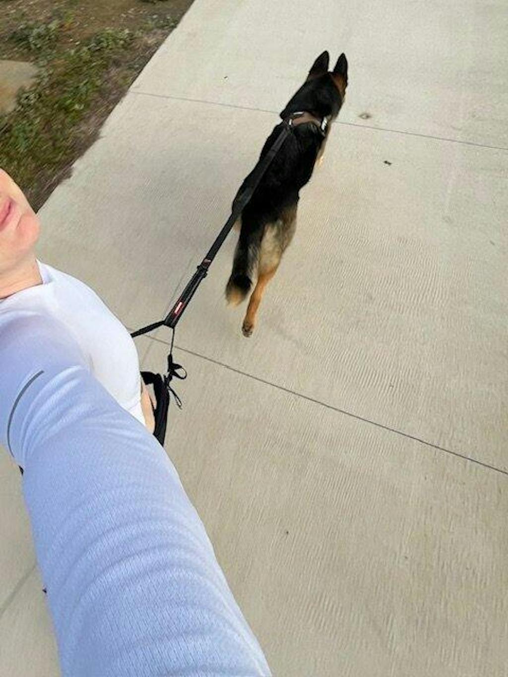 The Attachdᵀᴹ Hands Free Dog Belt | Attachd Australia