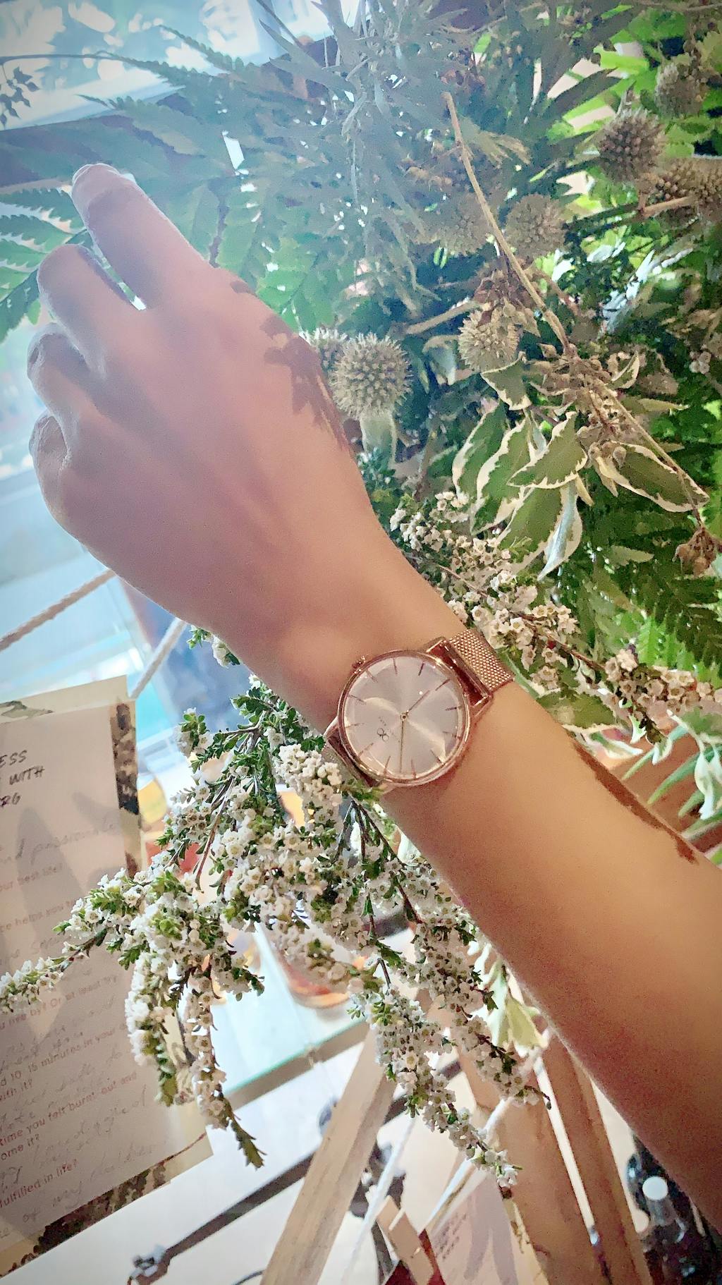 Explore William Morris & Co. x August Berg Watches