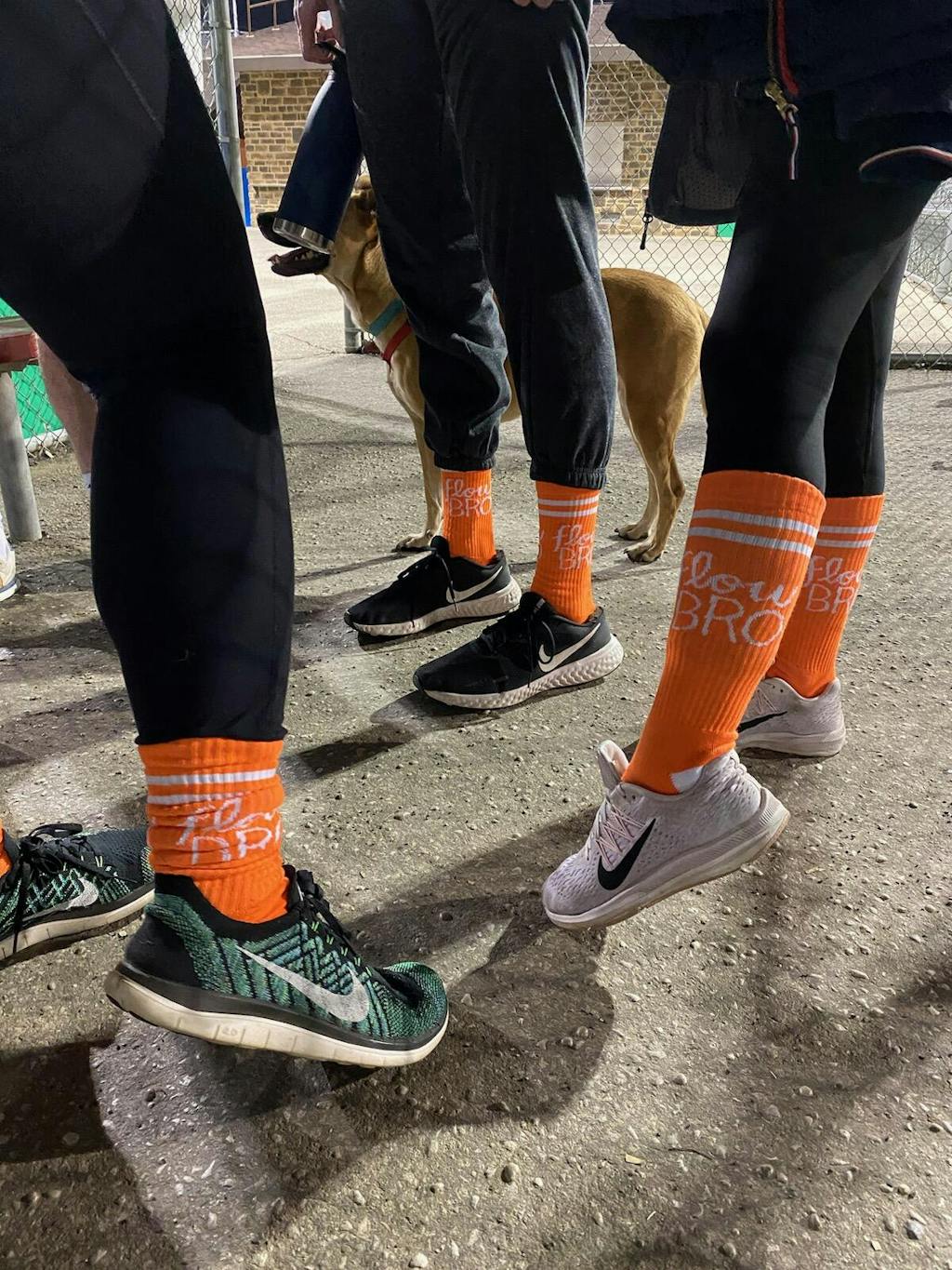 Aunt Flow 3-Pack Sock Bundle