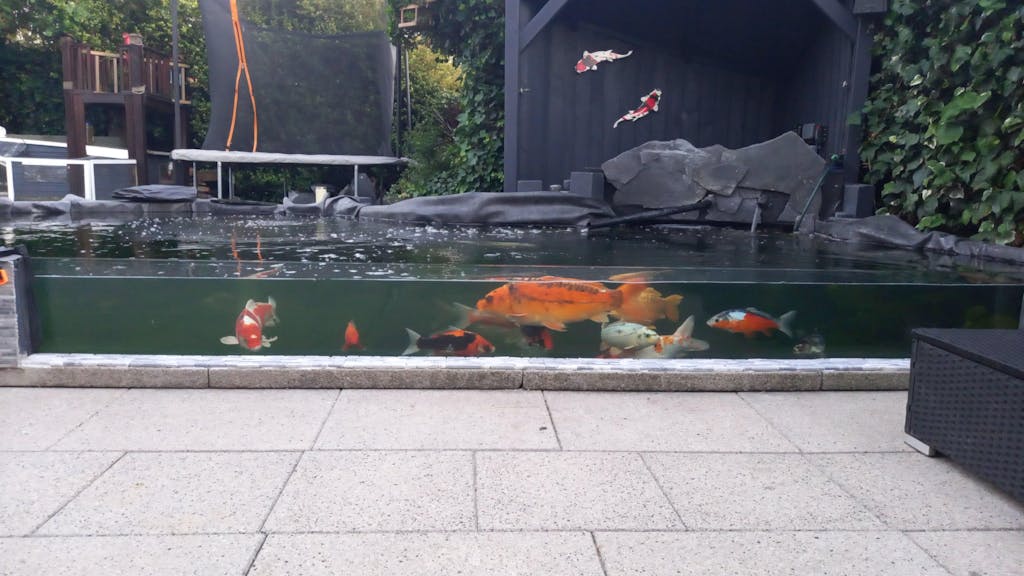 Pond Window Glass - Aurello