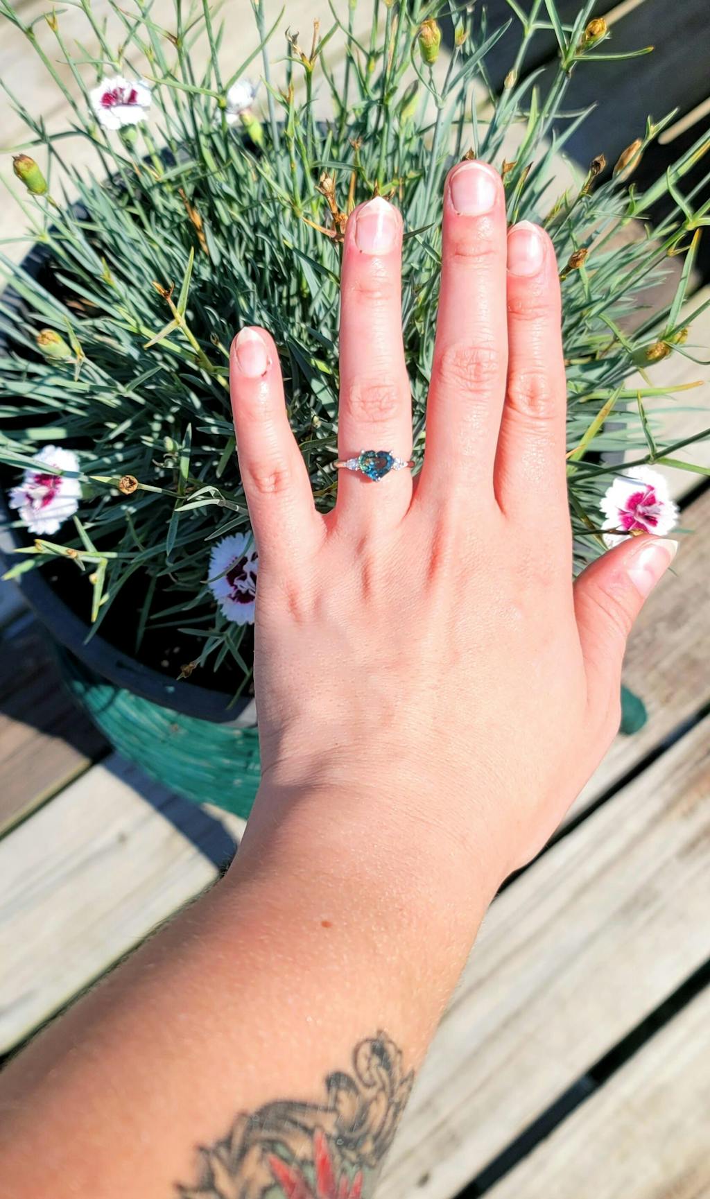 Reviews - Aurora Designer