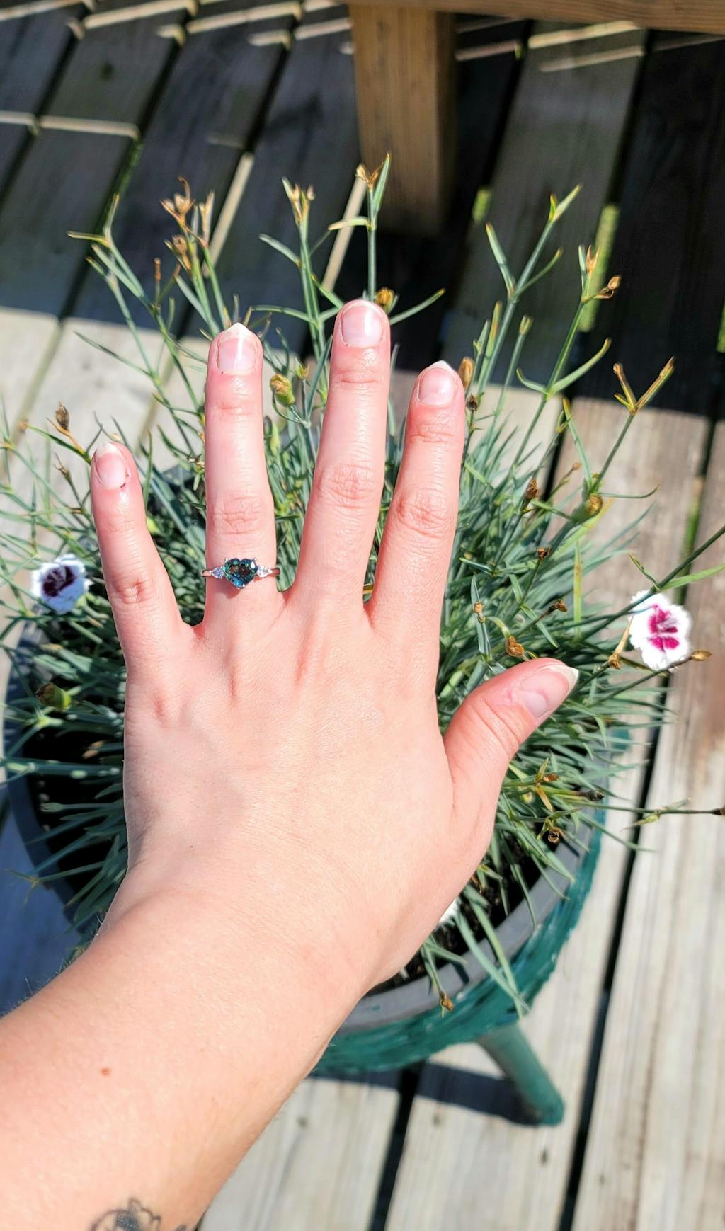 Reviews - Aurora Designer