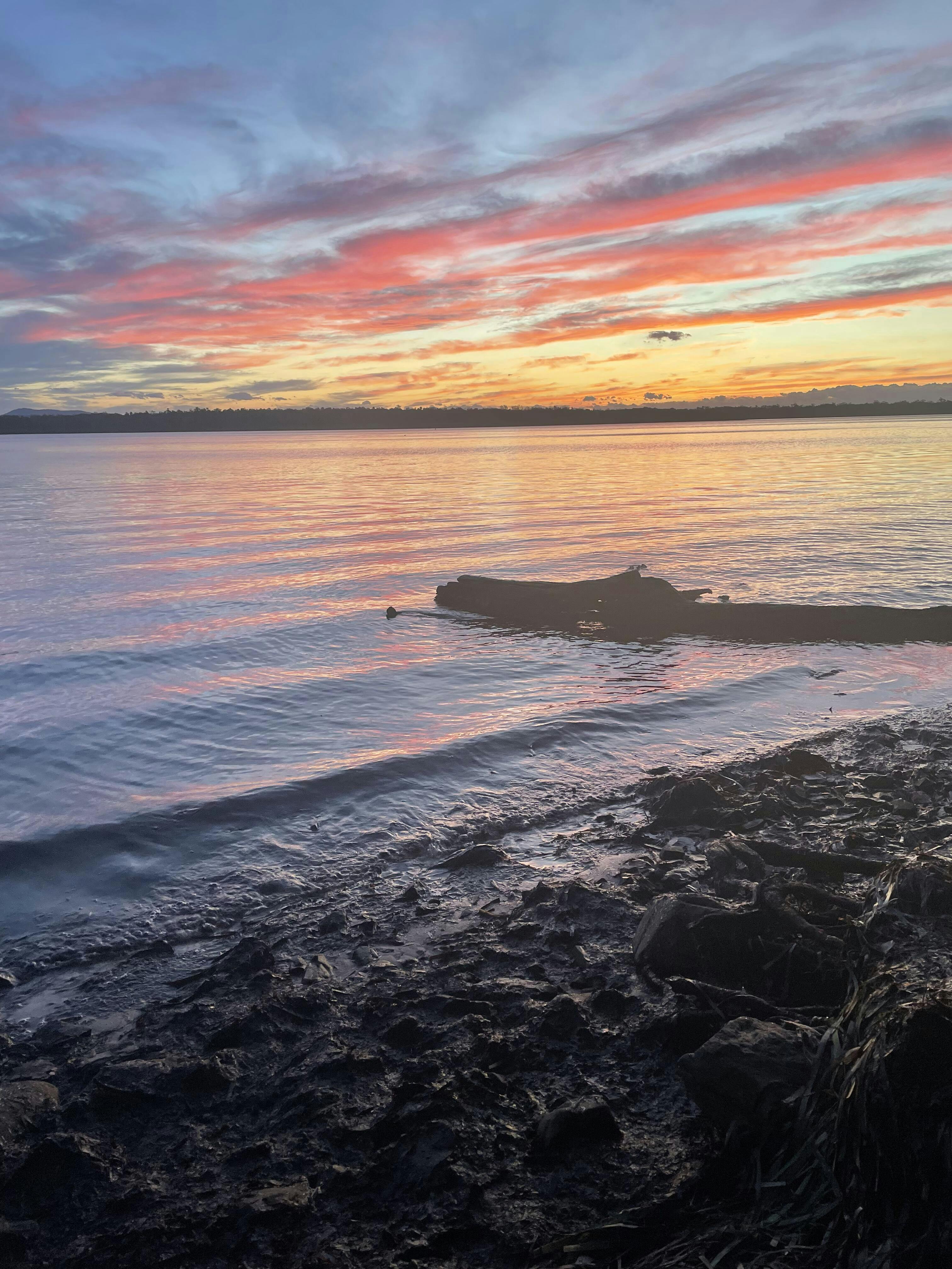Waka Premium- Australia Kava Shop