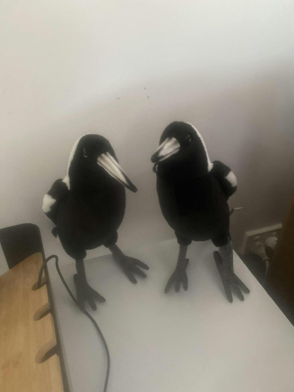 Hansa Magpie - 26cm - Soft Plush Toy | Australian Geographic