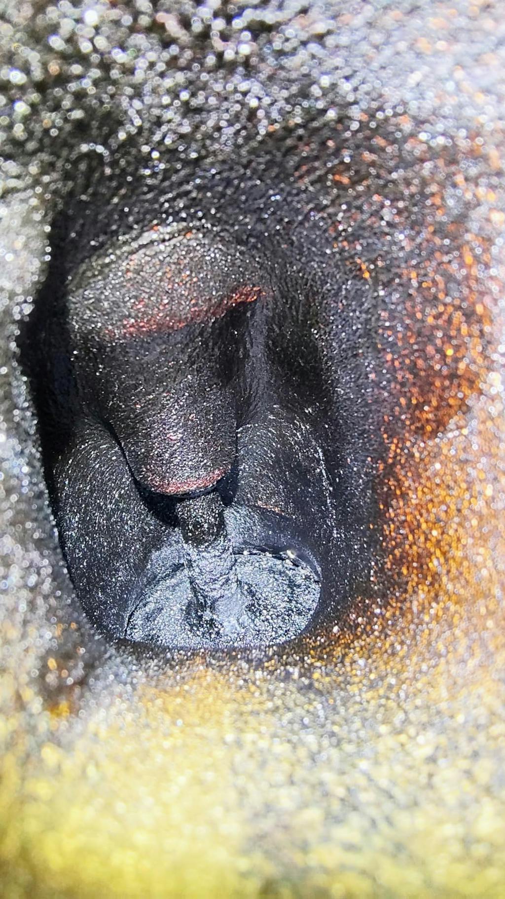 AUTOOL HTS678 Walnut Sand Blaster Cleaner Car Engine Carbon Deposition ...