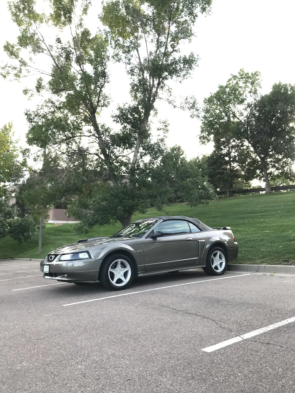 Armor Shield IX DIY Kit - Ceramic Coating by AvalonKing