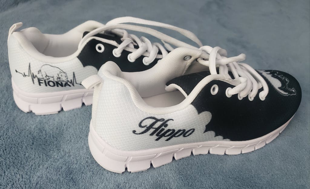 Hummingbird Indian Tribal Shoes Sky Sneakers, Running Shoes, Shoes For ...