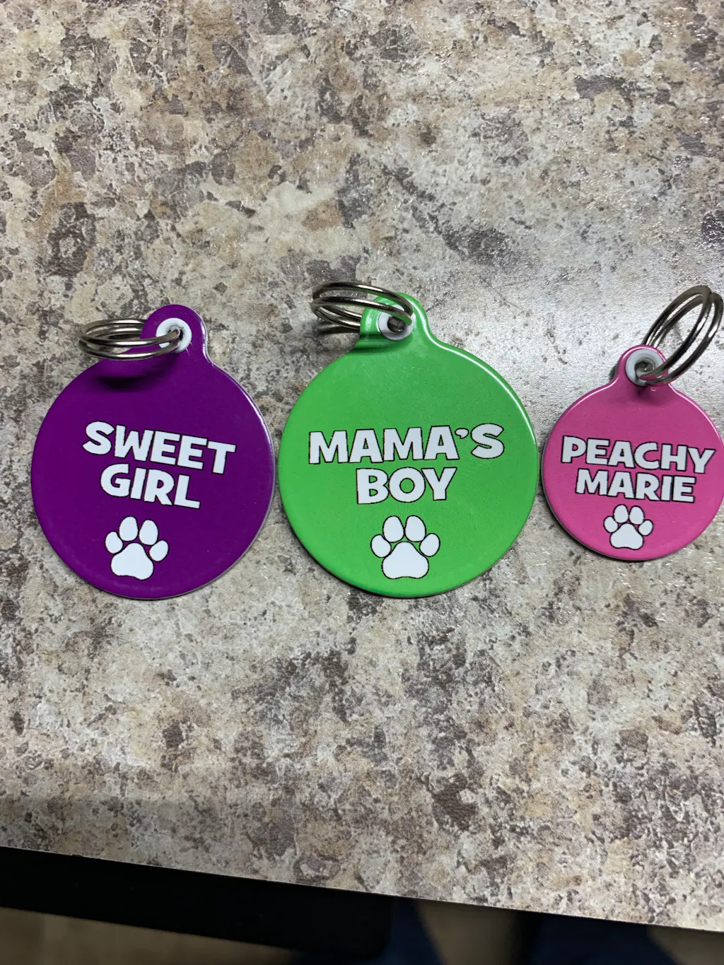 Make Your Own Pet ID Tag | Aw Paws