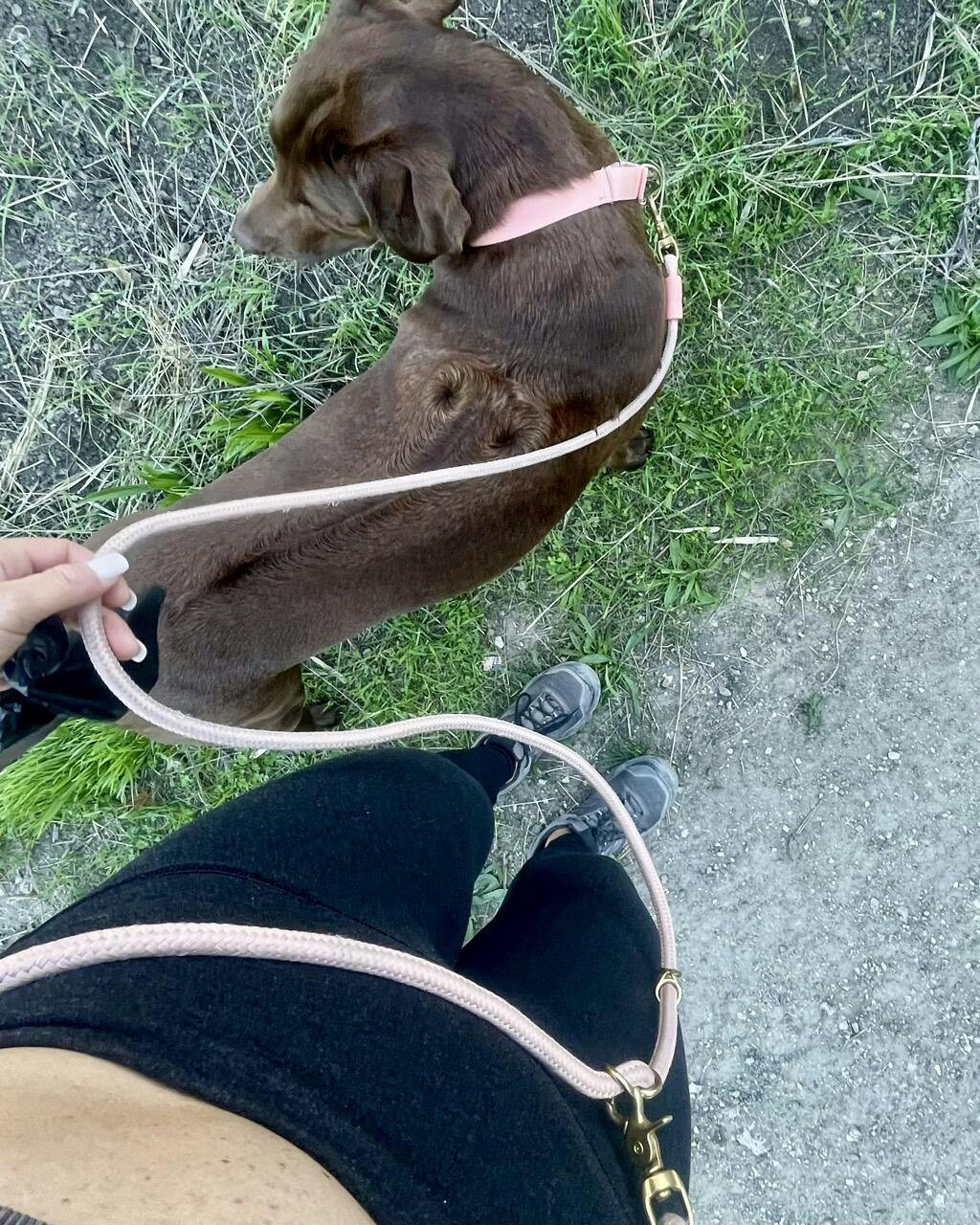 Infinity Leash