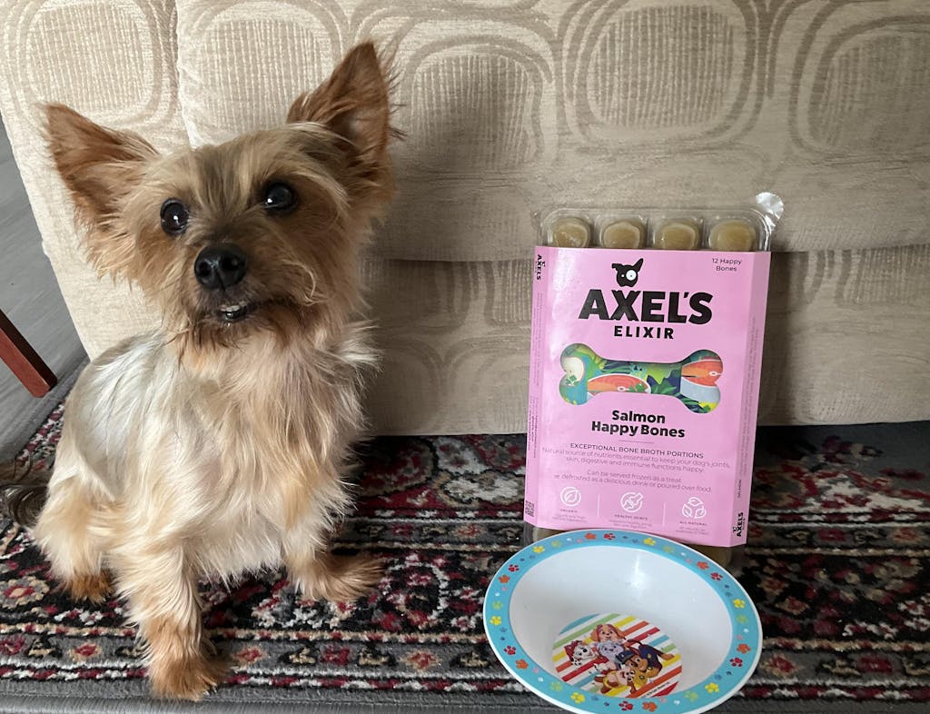 Salmon Happy Bones – Axels Elixir