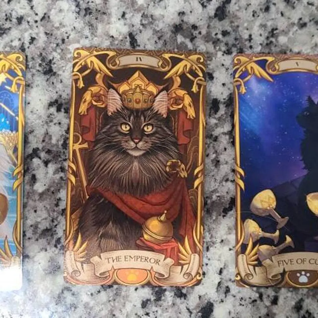 NINE LIVES CAT TAROT – Azura Magic