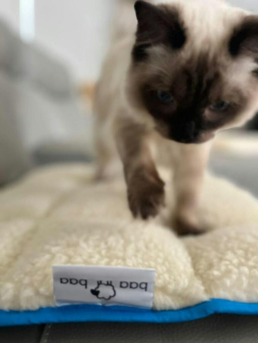 baa-baa Wool Bed Mat