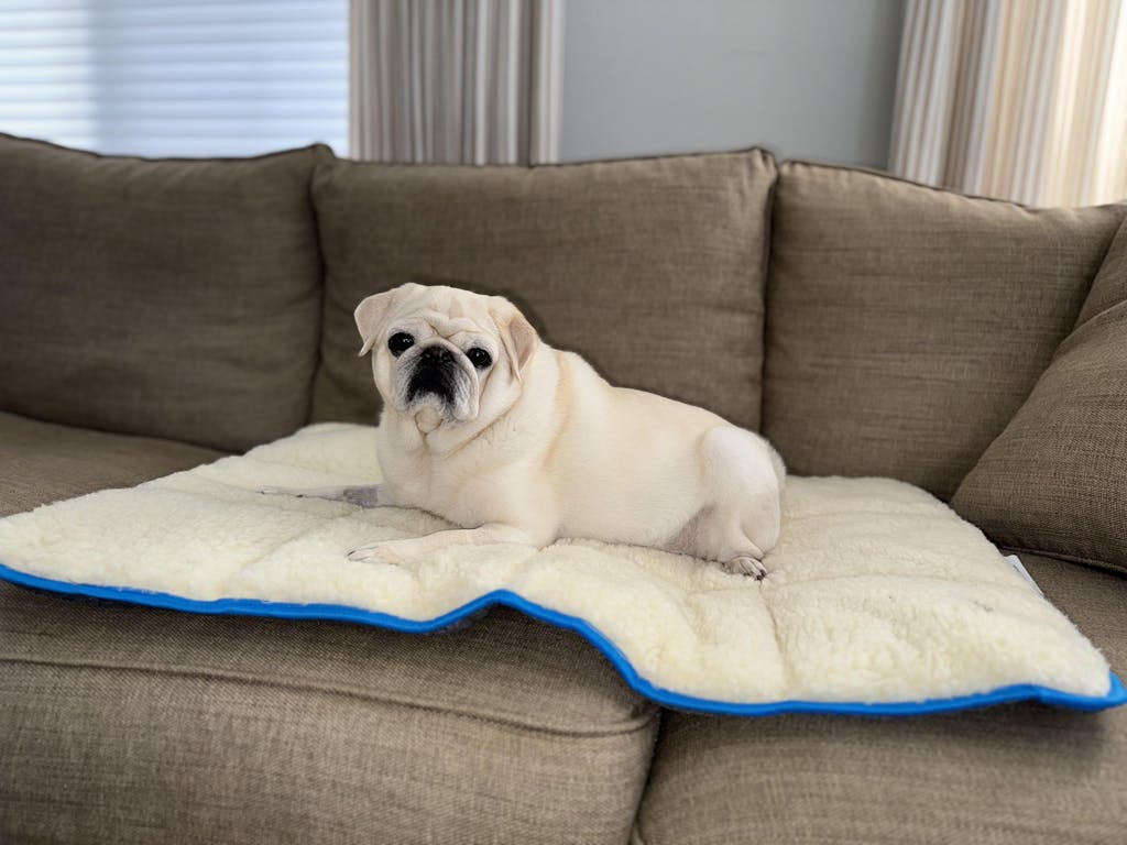 Wool Dog / Cat Mat Bed – BAA-BAA