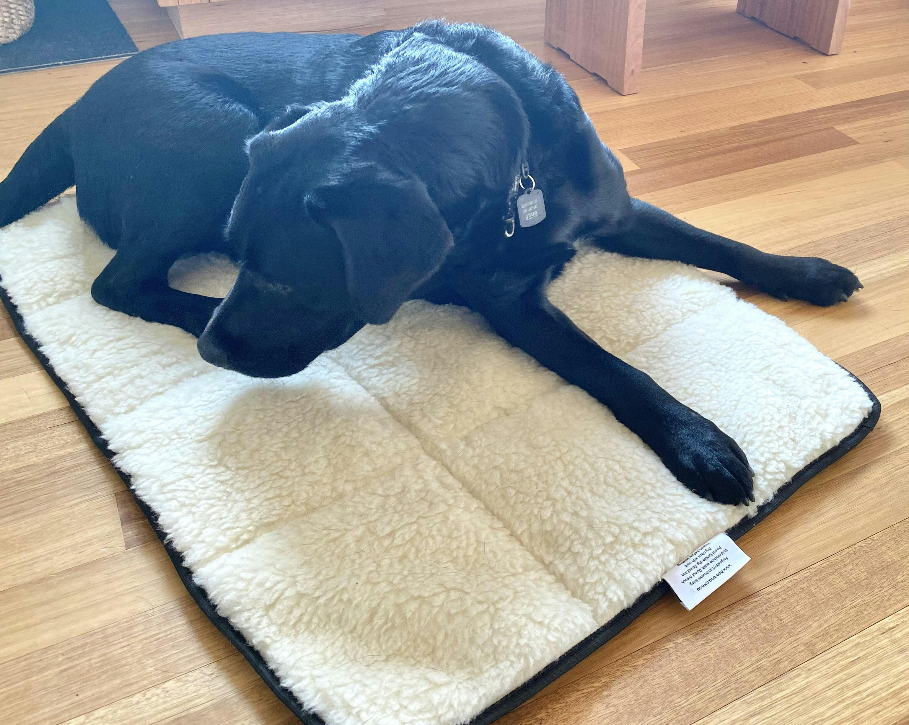 Premium Wool Dog & Cat Mat Bed - Free Shipping, Soft Lambswool, Water ...