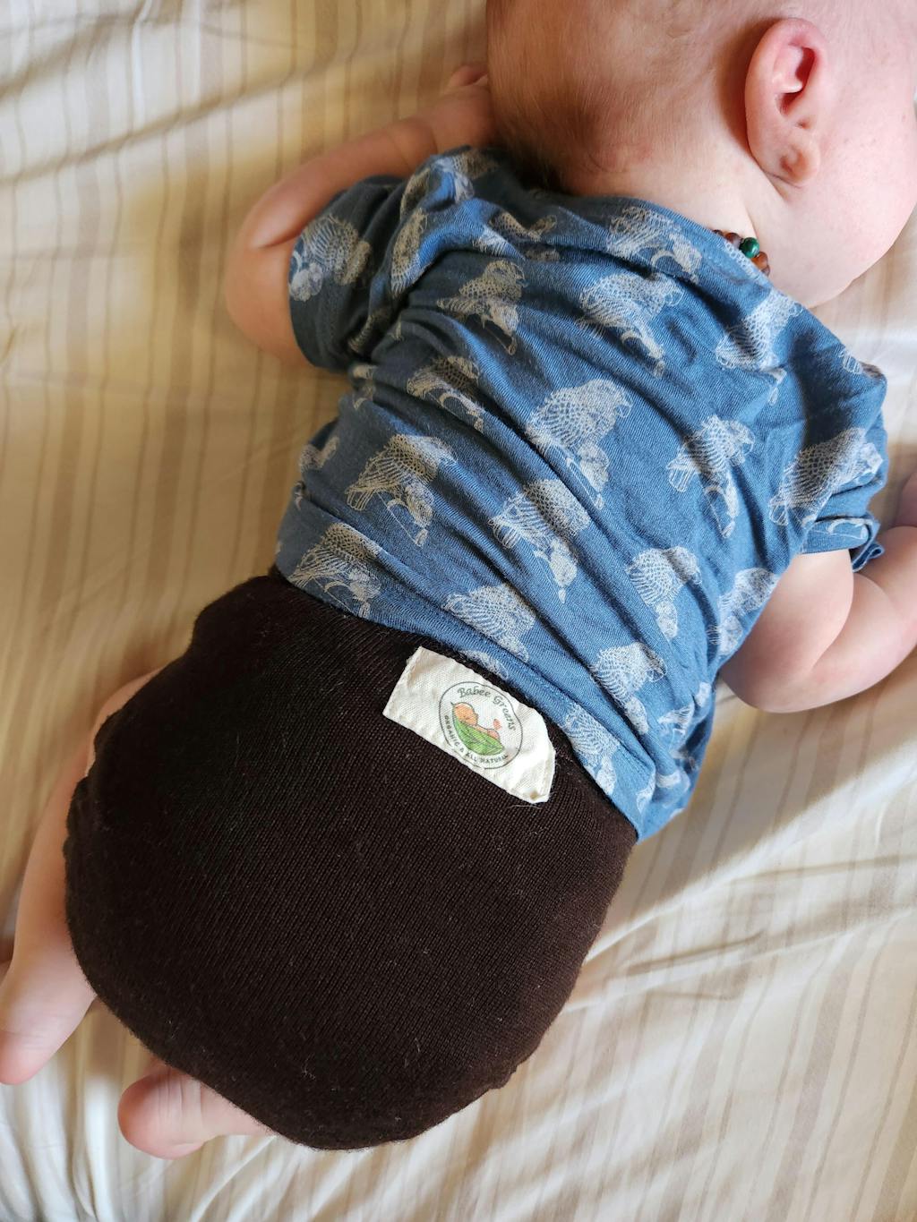 Tips on Picking the Best Type of Cloth Diaper for You | Babee Greens