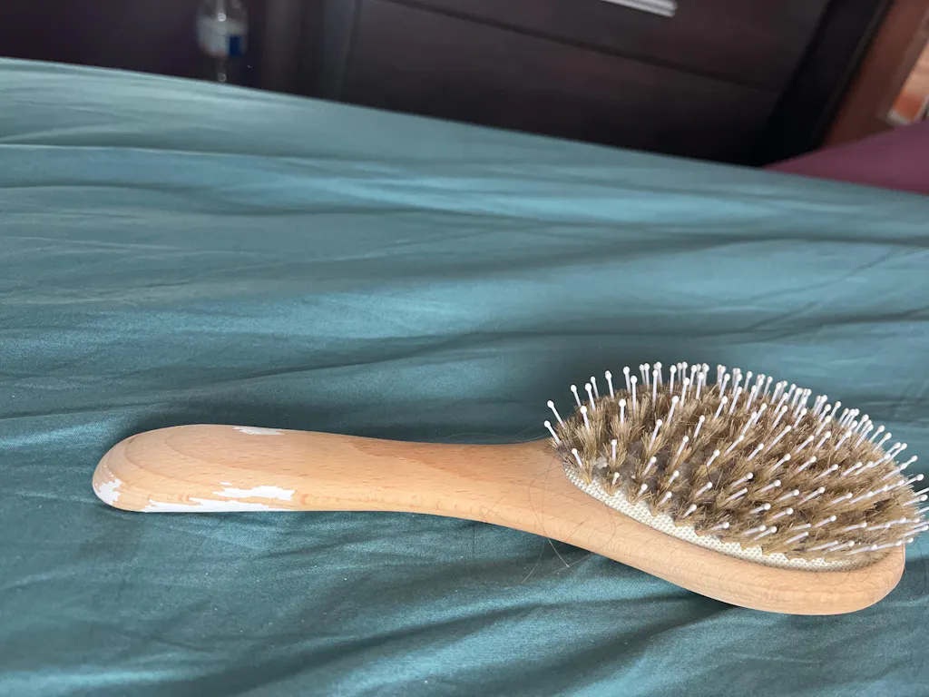 Detangling and shine hairbrush - Bachca
