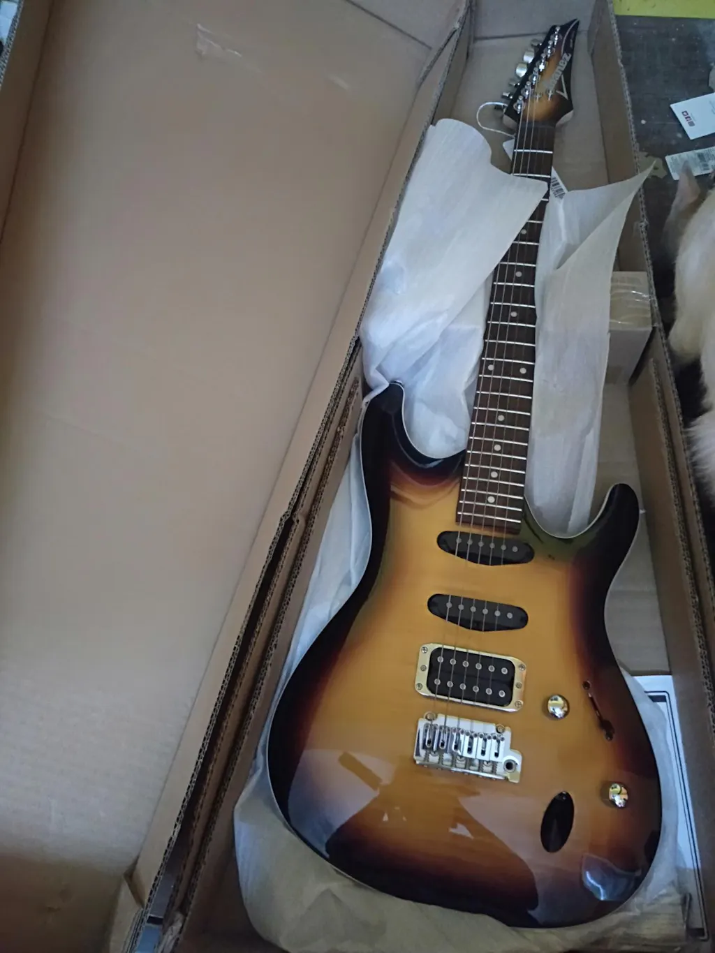 Ibanez SA260FM SA Standard Series 6-String Electric Guitar – BAJAAO.COM