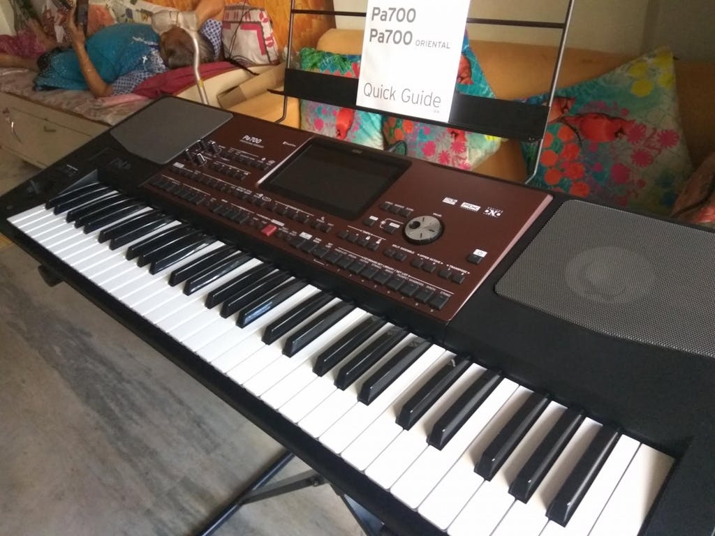 Korg PA-700 Professional Arranger Keyboard with SD Card – BAJAAO.COM