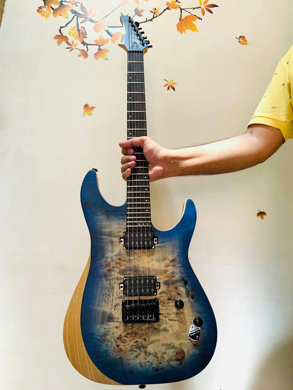 Schecter Reaper 6 6 Strings Electric Guitar – BAJAAO.COM