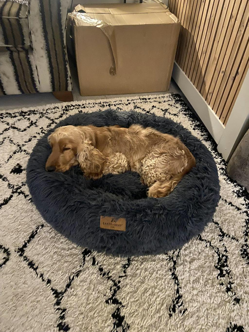 Donut Dog Bed | Eco Friendly Luxury Calming Donut Dog Bed, Charcoal
