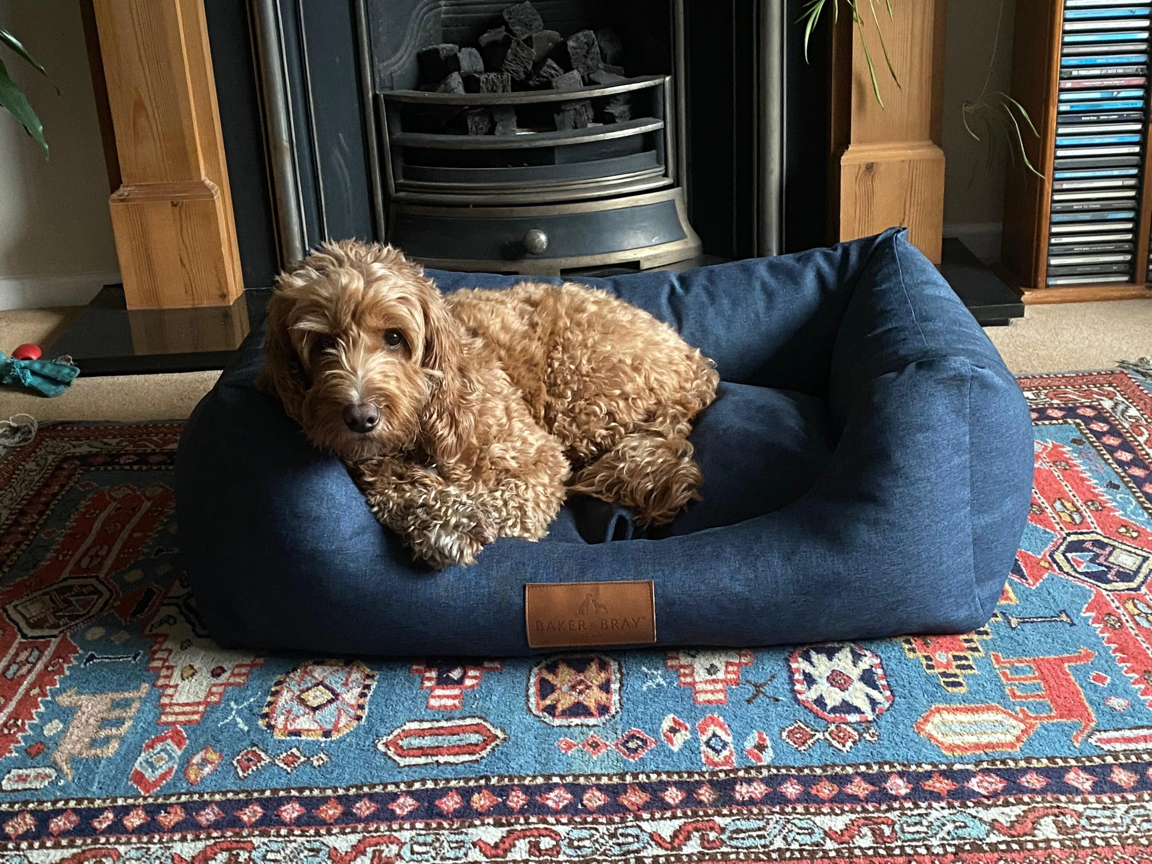 Baker & Bray Luxury Dog Products That Don't Cost The Earth