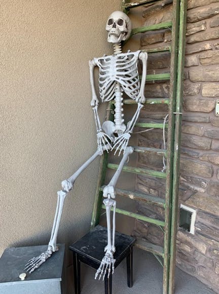 Posable Skeleton – Life Size Posable Skeleton – Balma Home
