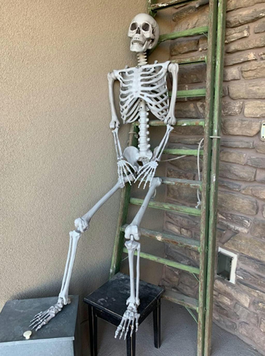 Posable Skeleton – Life Size Posable Skeleton – Balma Home