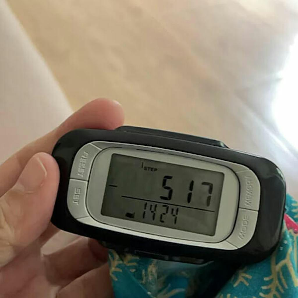 Best Walking 3D Pedometer with Clip and Strap plus. 30 Days Memory ...