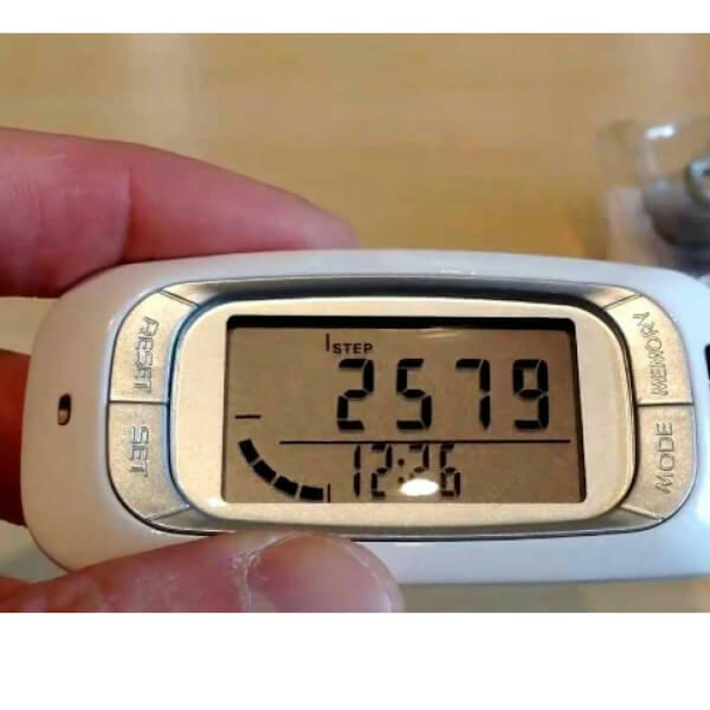 Best Walking 3D Pedometer with Clip and Strap plus. 30 Days Memory ...