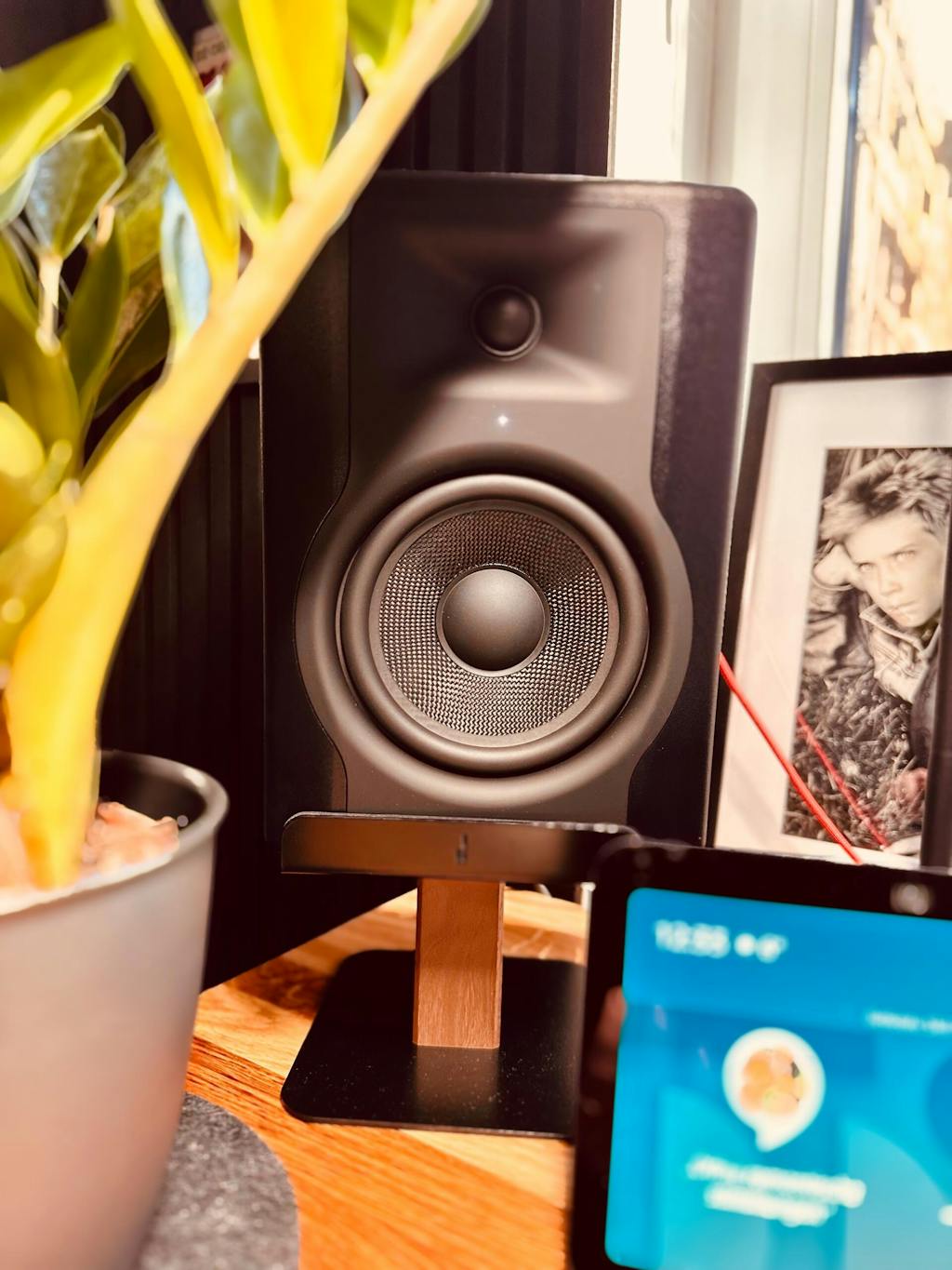 Speaker Stands – Premium Sound for your Desk Setup | BALOLO