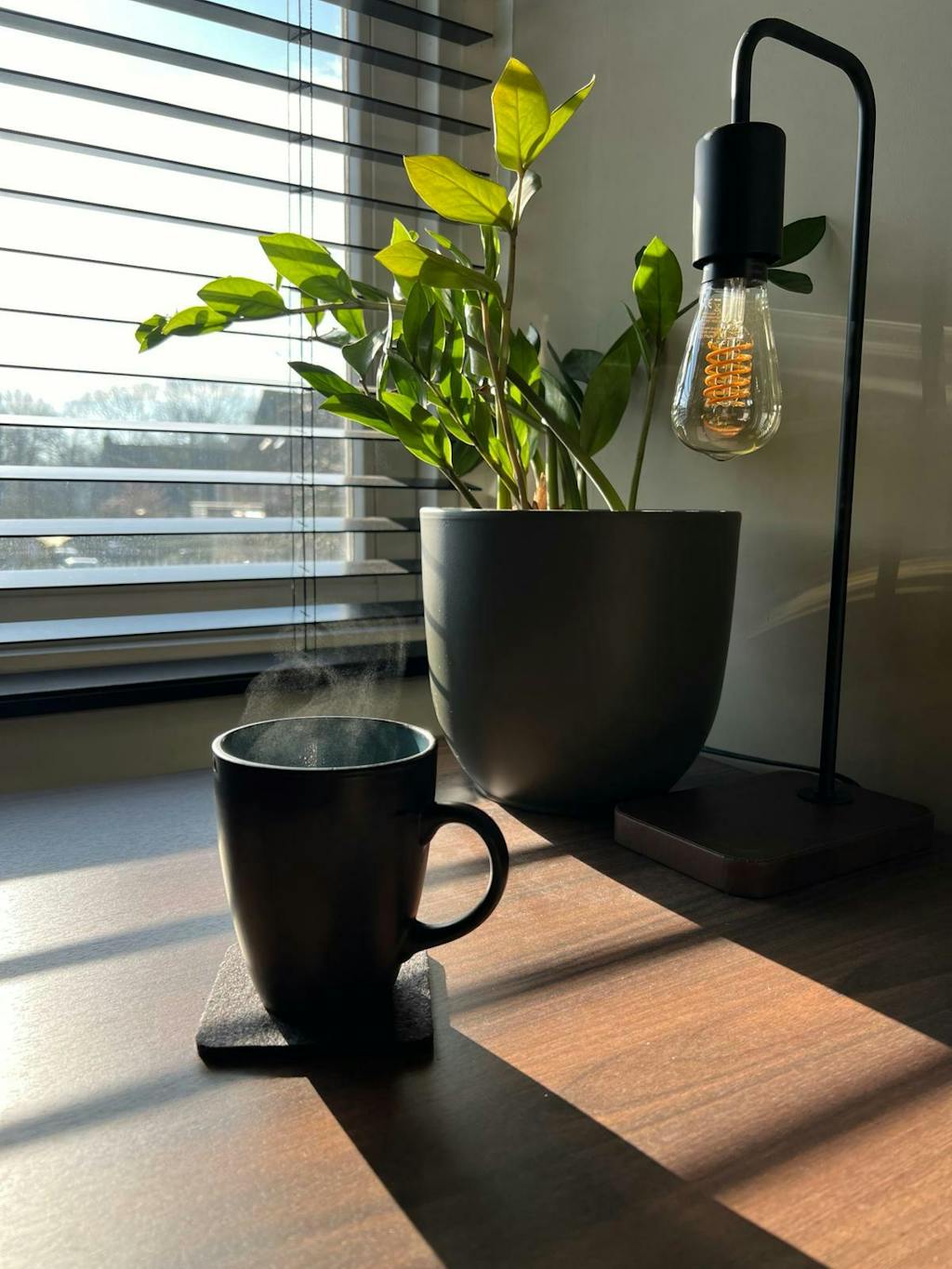 Desk Coaster - Premium Felt Coaster for Home & Office | BALOLO