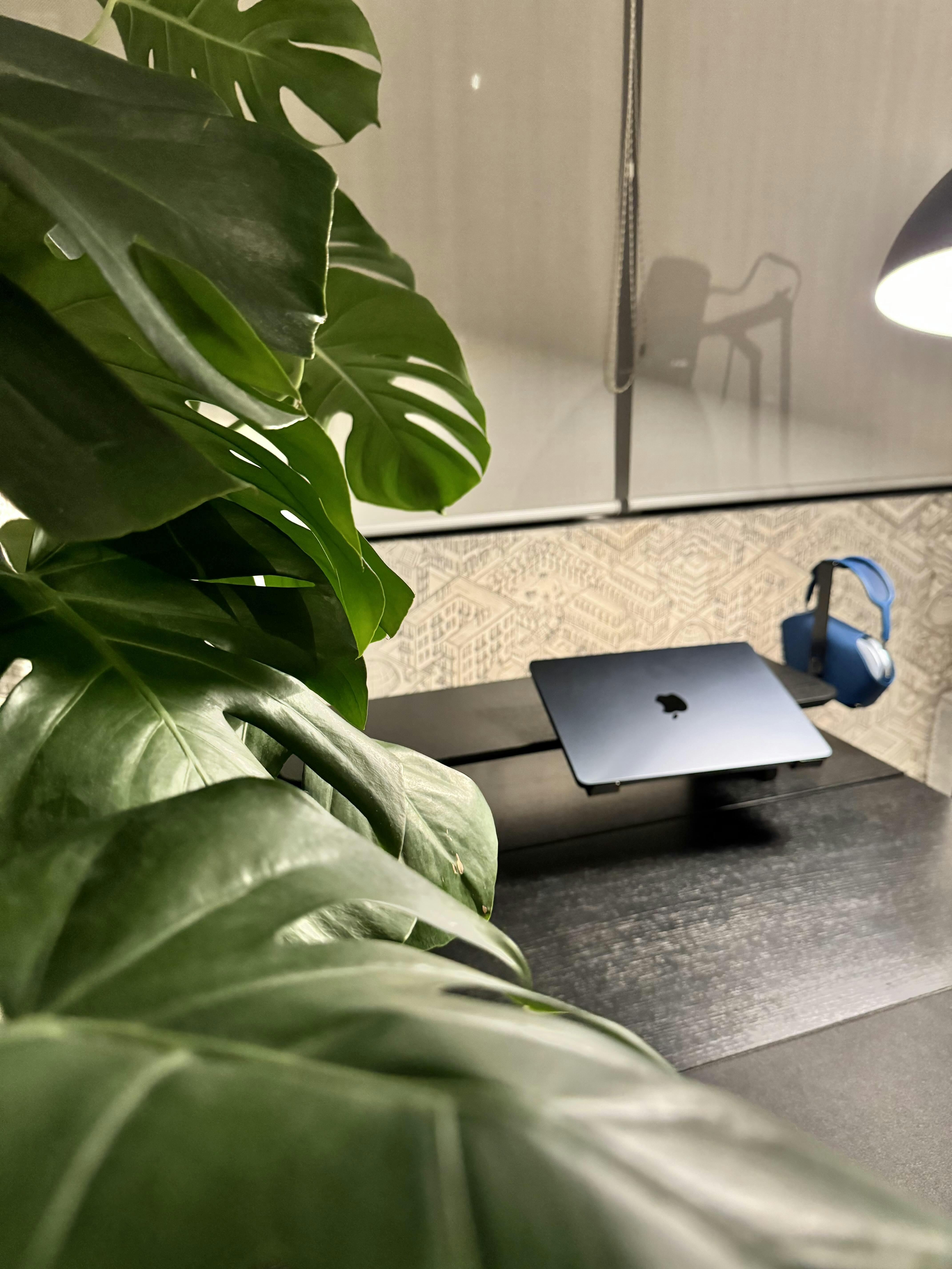 Setup Cockpit – Der Monitorständer für Deinen Schreibtisch | BALOLO