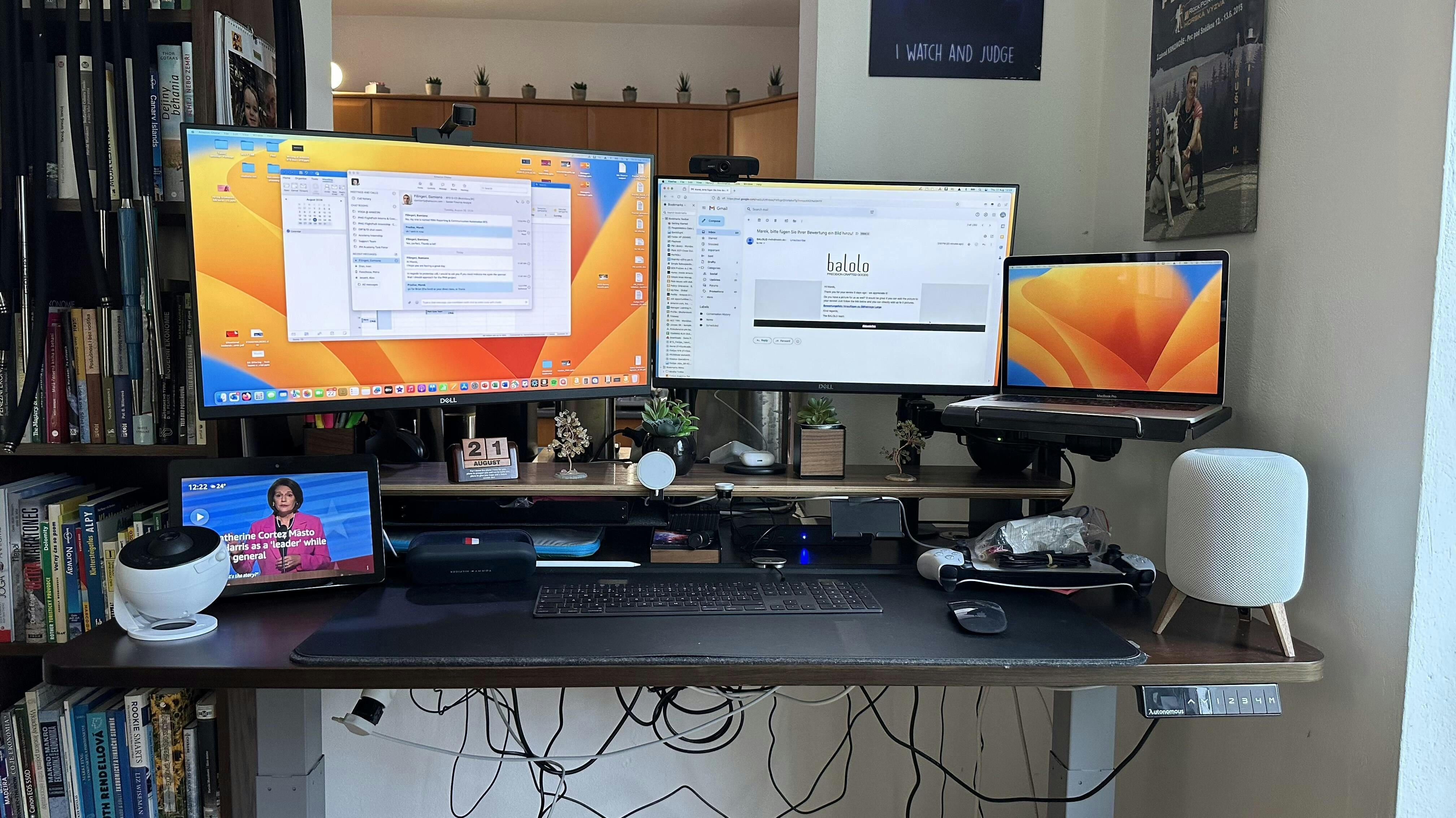 Large Catch All Tray made from Wood - German Premium Quality | BALOLO