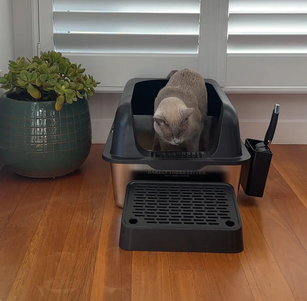 Stainless Steel Litter Boxes for Cats | Barely There Litter