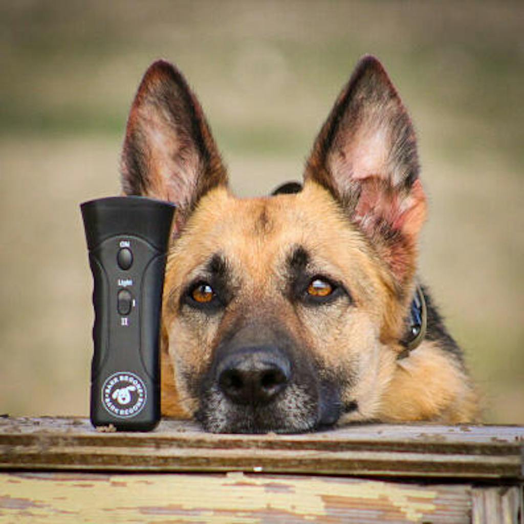 Anti Barking Device | Bark Begone Dog Trainer